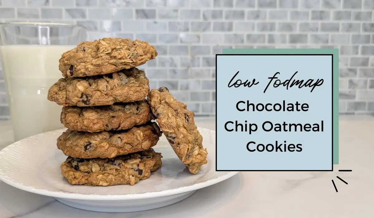 Low FODMAP Chocolate Chip Oatmeal Cookies